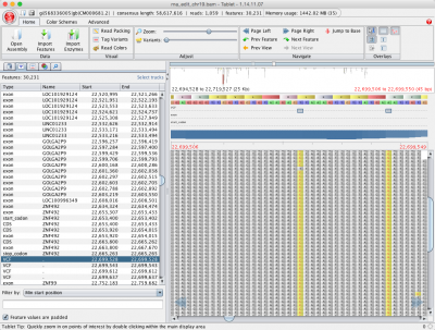 Variant Calling with SAMtools | DNA Sequencing Software - Sequencher from Gene Codes Corporation